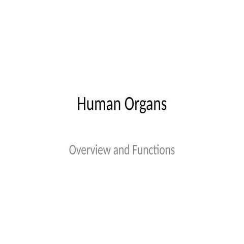 Human_Organs_Presentation.pptx for Nursery | PPTX