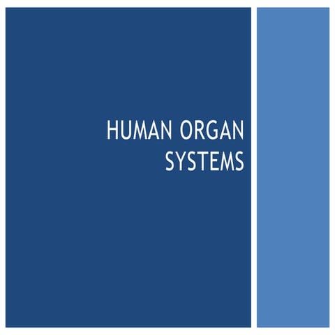 Human organ systems | PPTX