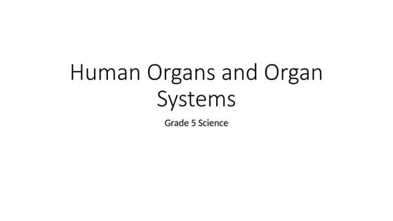 THE DIFFERENT ORGAN SYSTEMS OF THE HUMAN BODY.pptx