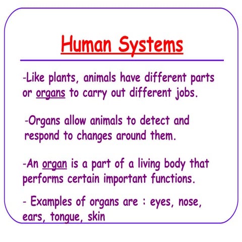 Human Organ Systems Lesson 2 Ppt
