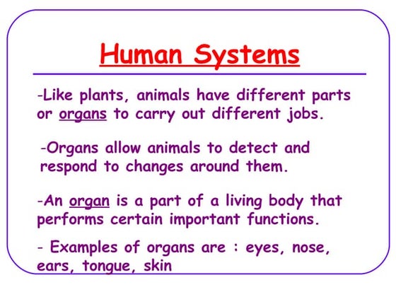 Human Body Systems PPT | PPT
