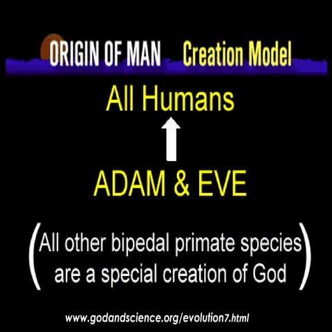 Origin of Man | PPTX