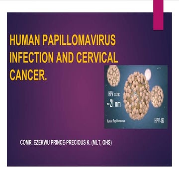 Human Papillomavirus Infection And Cervical Cancer Pptx
