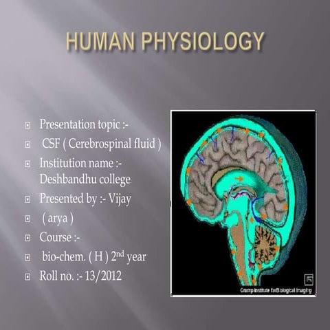 cerebrospinal fluid | PPT