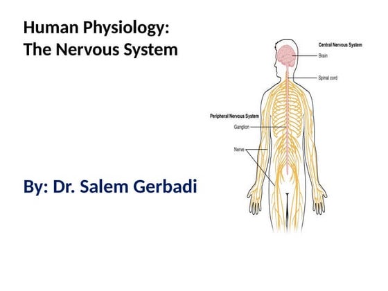 Nerves system(CNS, PNS) | PPT