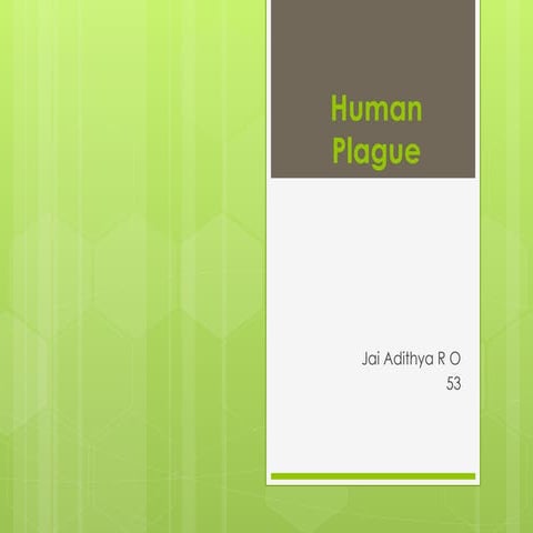 human plague detalied desription are given | PPT