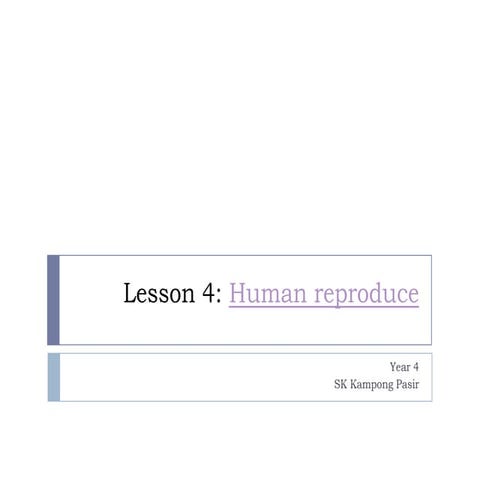 Human reproduce | PPT