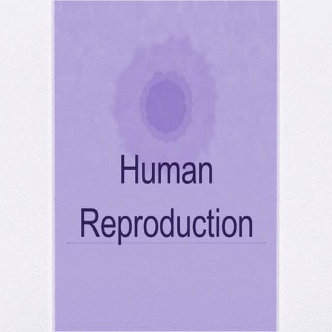Human Reproduction | PPT