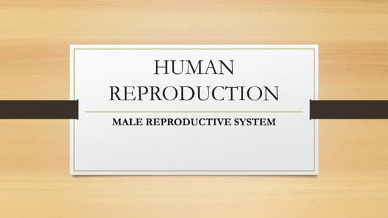 Grade 9 - Sexual Reproduction of Human | PPT