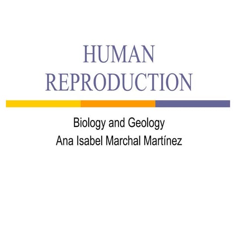 Human reproduction | PPT