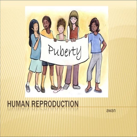 Grade 10 - Human Reproduction | PPT