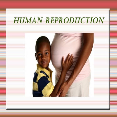 Human reproduction | PPT