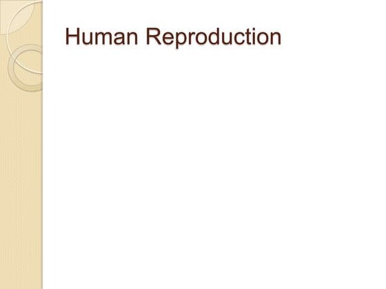 HUMAN REPRODUCTION .pptx class XII Biology | PPT