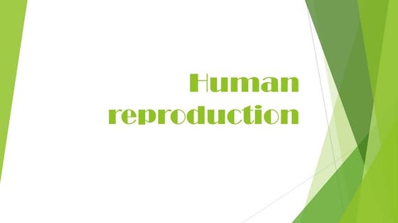 HUMAN REPRODUCTION .pptx class XII Biology | PPTX | Infertility ...