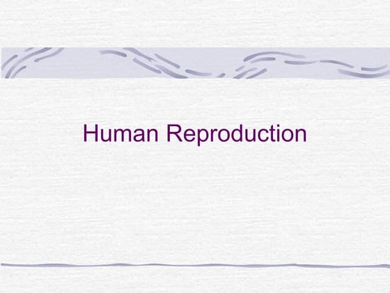 Pregnancy and birth | PPT