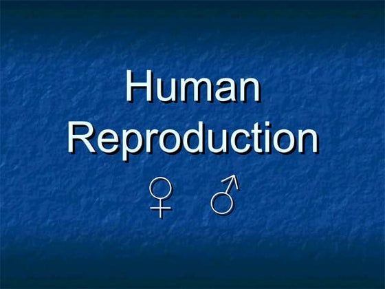 Powerpoint human reproduction | PPT
