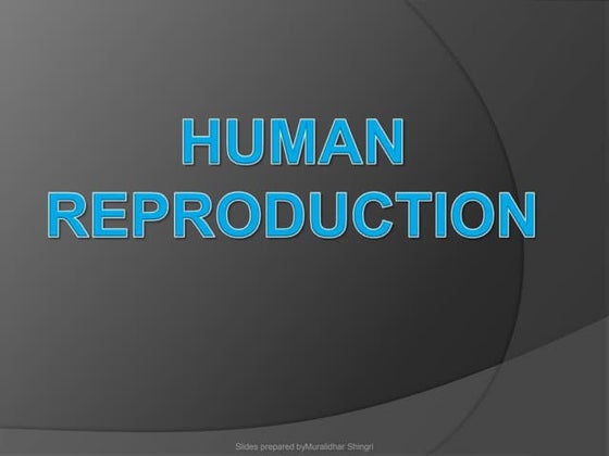 HUMAN REPRODUCTION .pptx class XII Biology | PPT