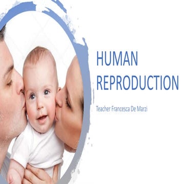 Human reproduction | PPT
