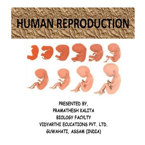Human reproduction Complete Chapter | PPTX