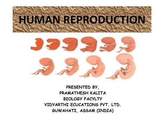 HUMAN REPRODUCTION .pptx class XII Biology | PPT