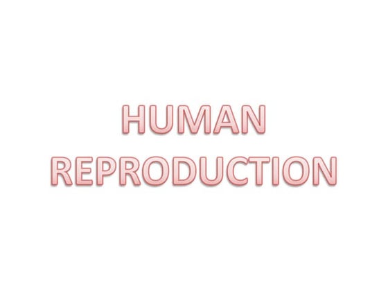 Drosophila Life Cycle and culturing technique.pdf