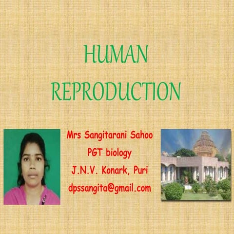 Human reproduction (Class 12) | PPTX