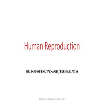 Human reproduction | PPT