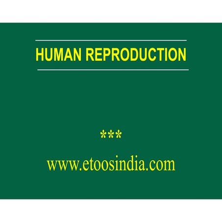 Human reproduction Complete Chapter | PPTX
