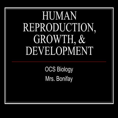 Human Reproduction.ppt