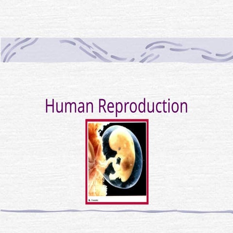 Human Reproduction topic to introduce to Form 1 students | PPT