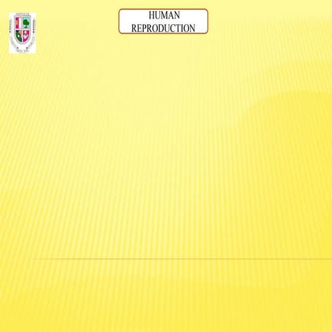 Human reproduction. diagram. english | PDF