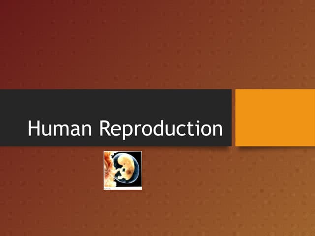 Chapter15_Full_Biology_Reproduction.pptx