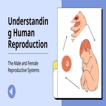 Human Reproductive System for grade 7 science | PDF