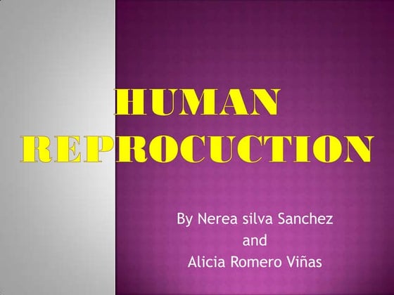 Human Reproduction Ppt