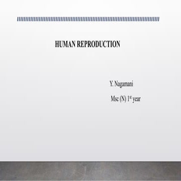 Human reproduction ppt | PPT