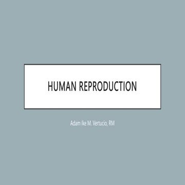 HUMAN REPRODUCTION .pptx class XII Biology | PPTX