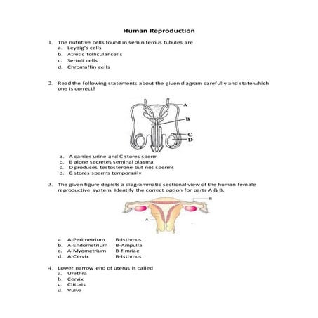 Human Reproduction Sample Questions Pdf