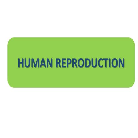 Human reproduction | PPTX