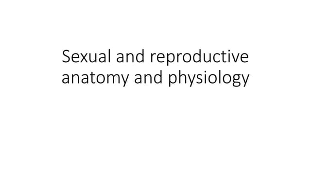 Female Reproductive System | PPTX