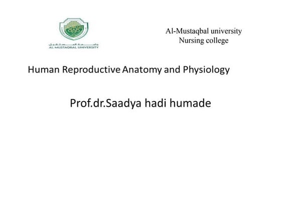 Male Reproductive System 2nd Quarter Ppt Ppt