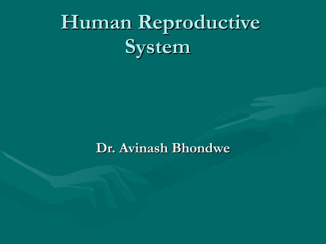 Reproductive system 6º grade | PPT
