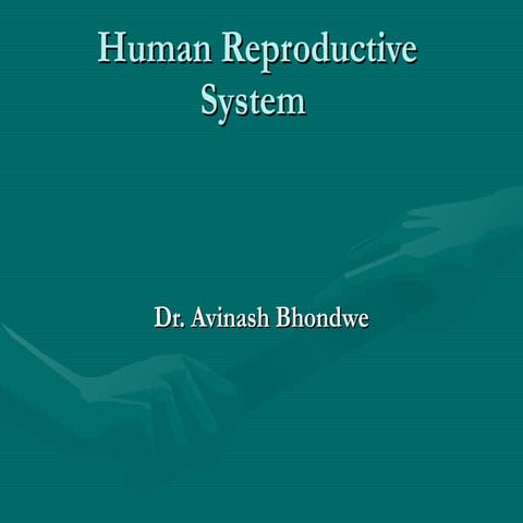Human reproductive system | PPT