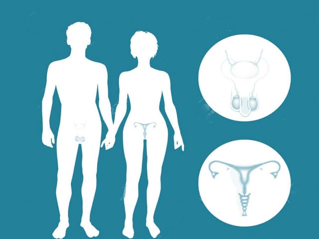 SCIENCE 5 Human Reproductive System.pptx