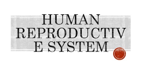 REPRODUCTIVE SYSTEM | PPT