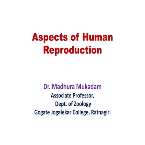 Human reproductive system | PDF