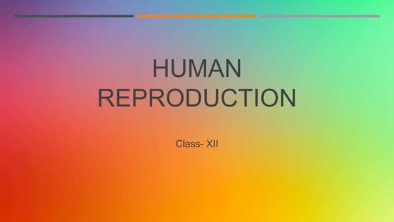 Female Reproductive System Grade 10 - PPT | PPT