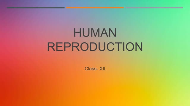 Human Reproductive Systempptx