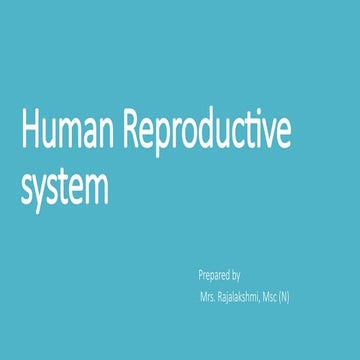 Human Reproductive System Pptx Notes Ppt Pptx