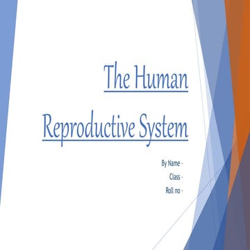 The best Human reproductive System ppt.pptx