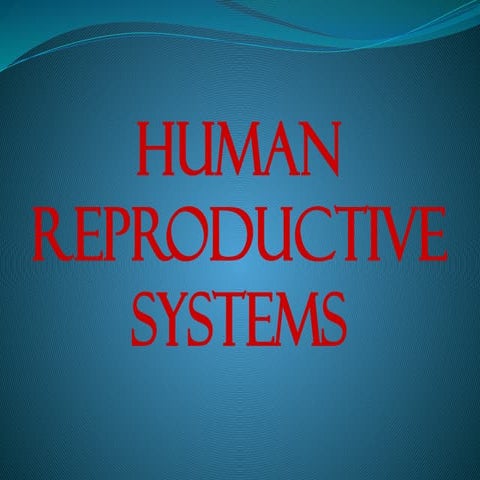 Human Reproductive Systems PowerPoint.pptx